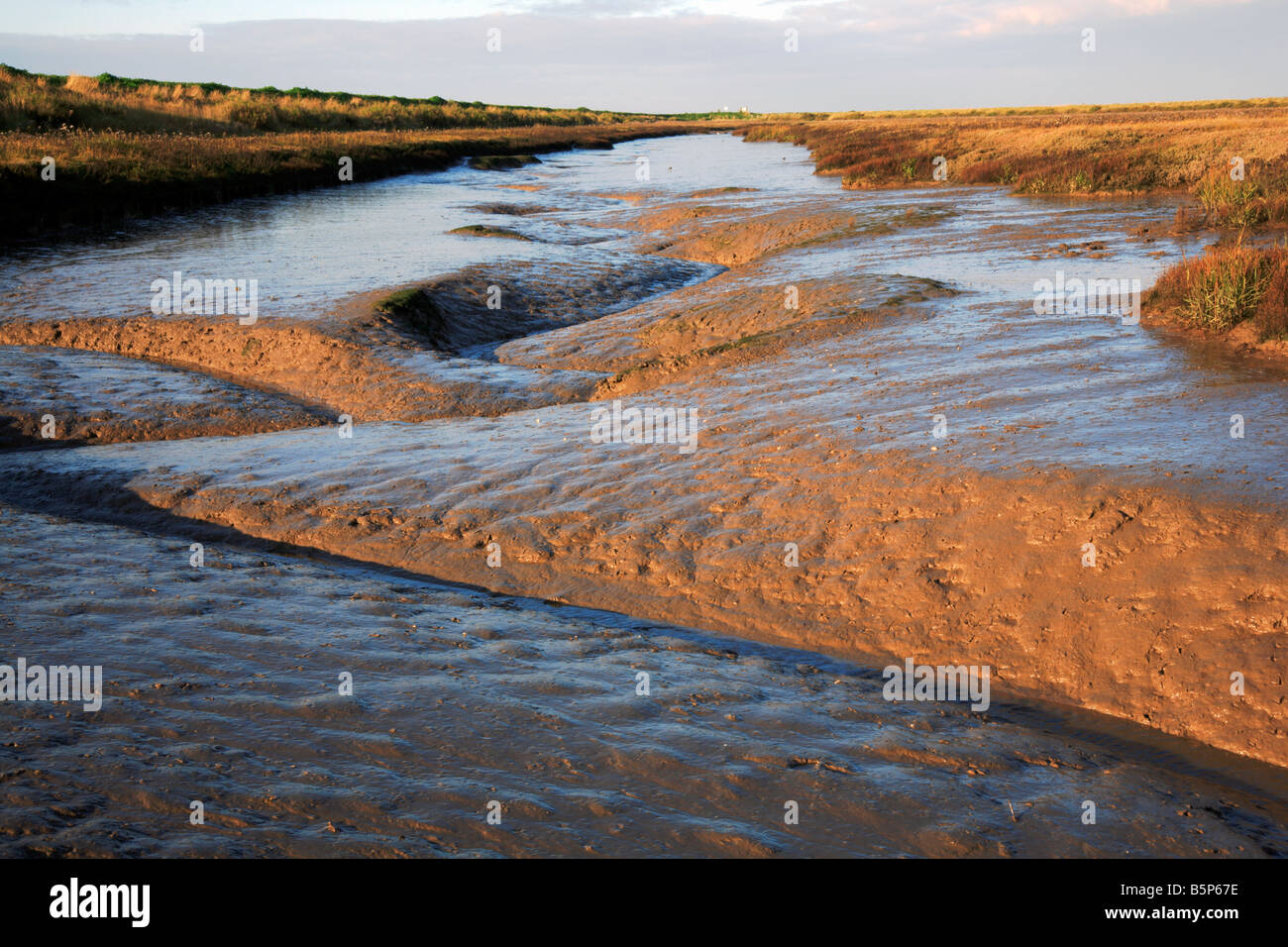 Creek low tide in salt hi-res stock photography and images - Alamy