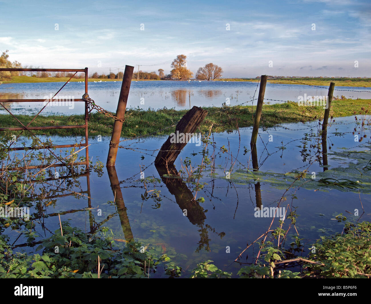 Colourful fence posts hi-res stock photography and images - Alamy