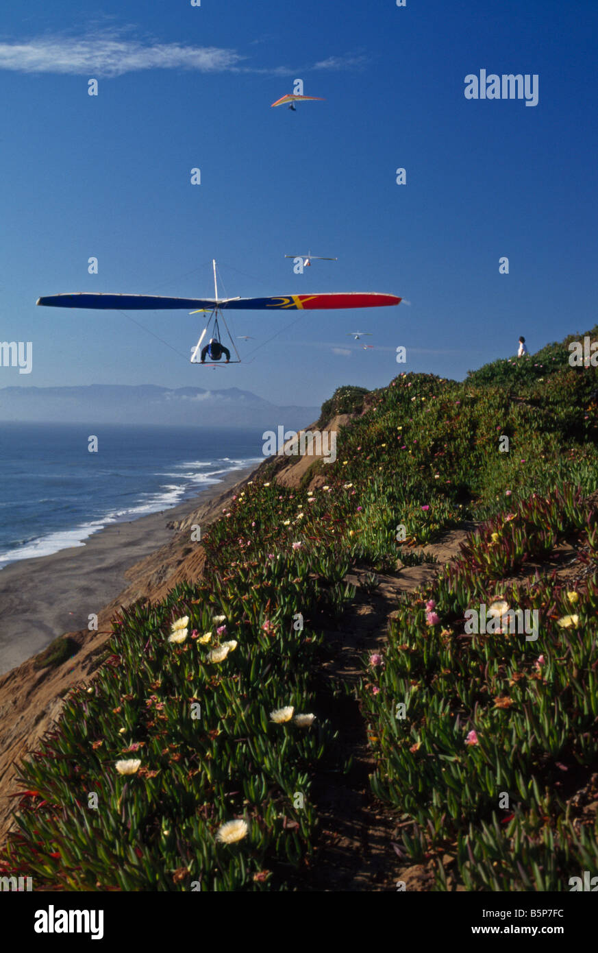 Hang Gliding at Fort Funston San Francisco California Stock Photo - Alamy