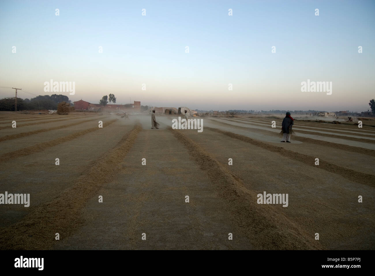 Pakistan rice hi-res stock photography and images - Alamy