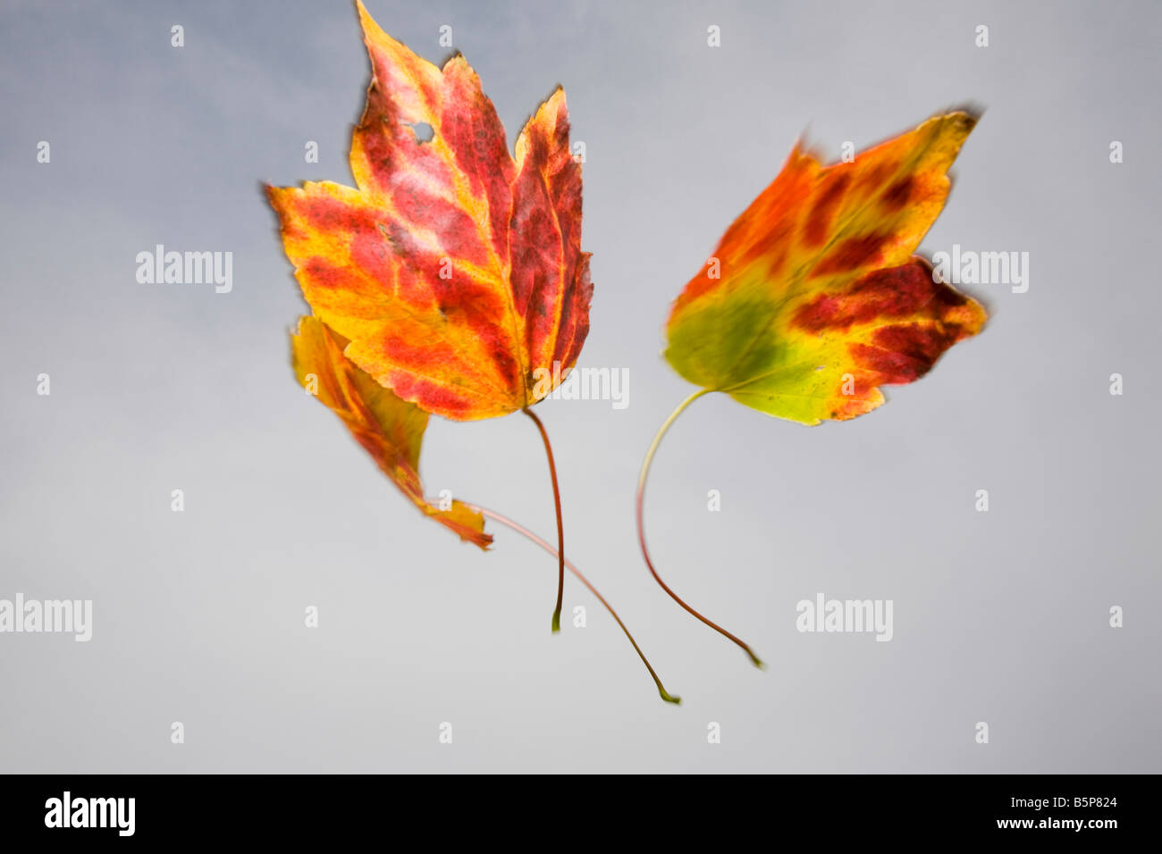 Float through the air hi-res stock photography and images - Alamy