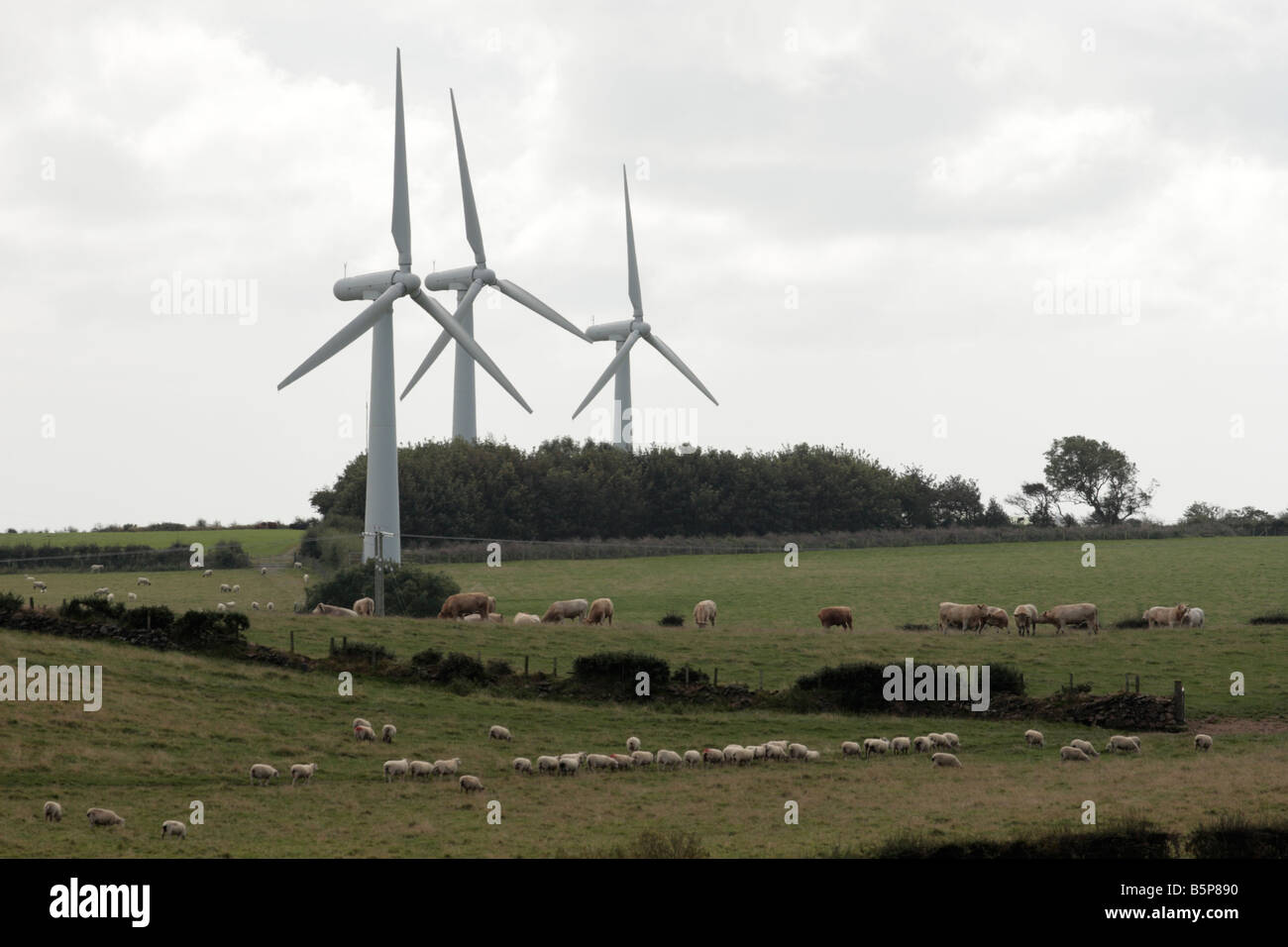 Trysglwyn wind farm hi-res stock photography and images - Alamy