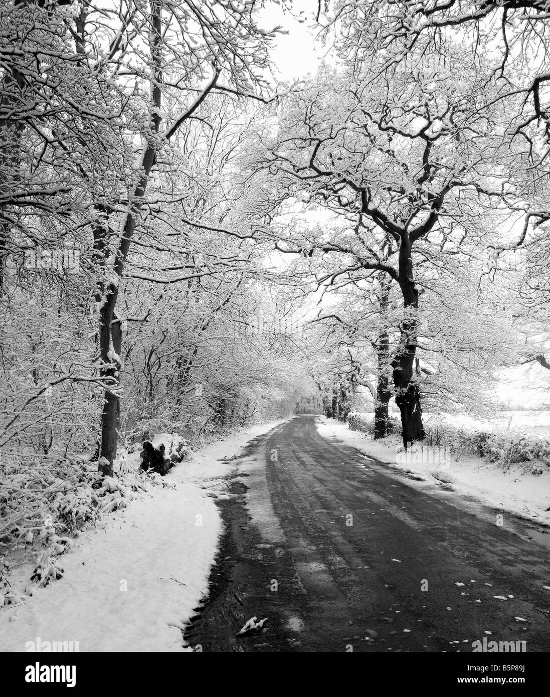 Country lane Black and White Stock Photos & Images - Alamy