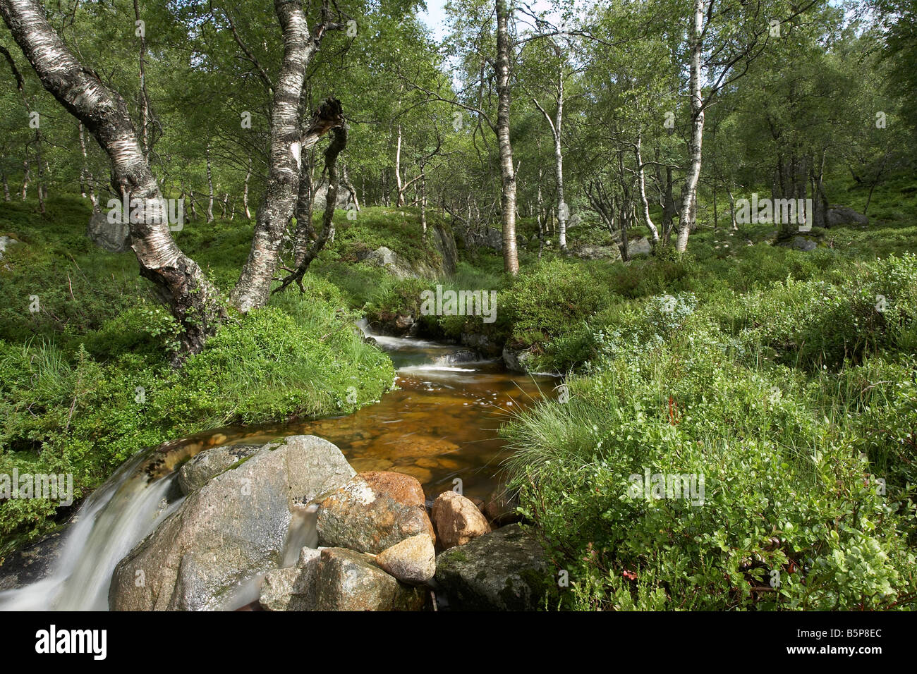 Kvinesdal hi-res stock photography and images - Alamy