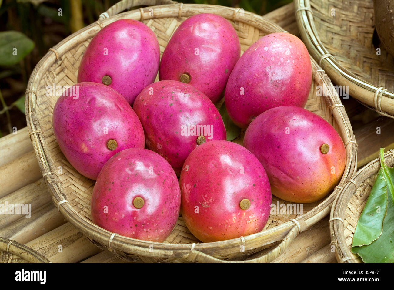 Purple mangoes hi-res stock photography and images - Alamy