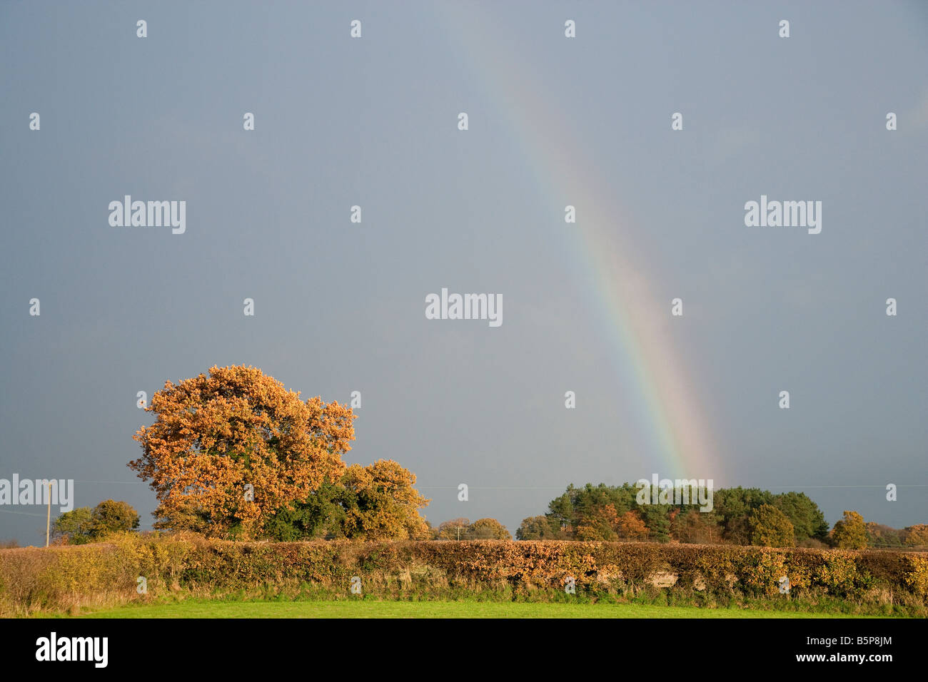 A rainbow appears on an autumn afternoon "North Norfolk" farmland, UK ...
