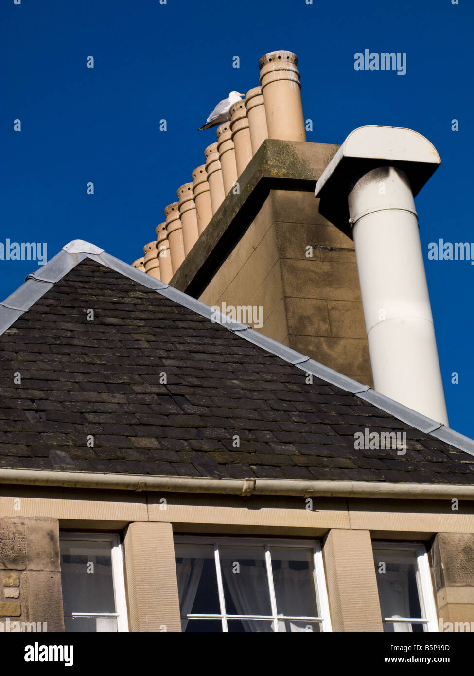 chimney pots and stack on edinburgh house scotland Stock Photo - Alamy