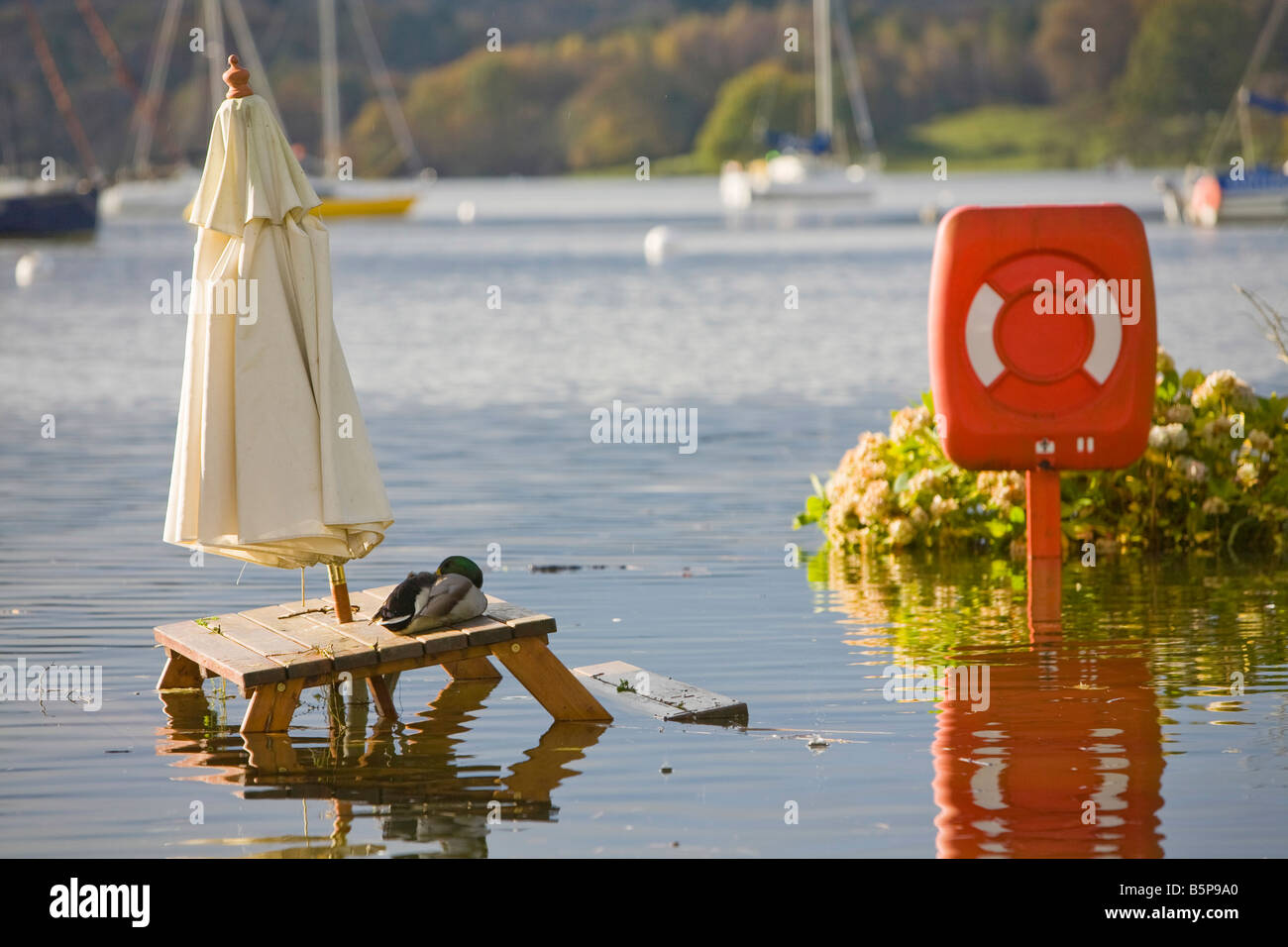 Flooding in the beer garden of The Wateredge Inn at Waterhead on Lake ...