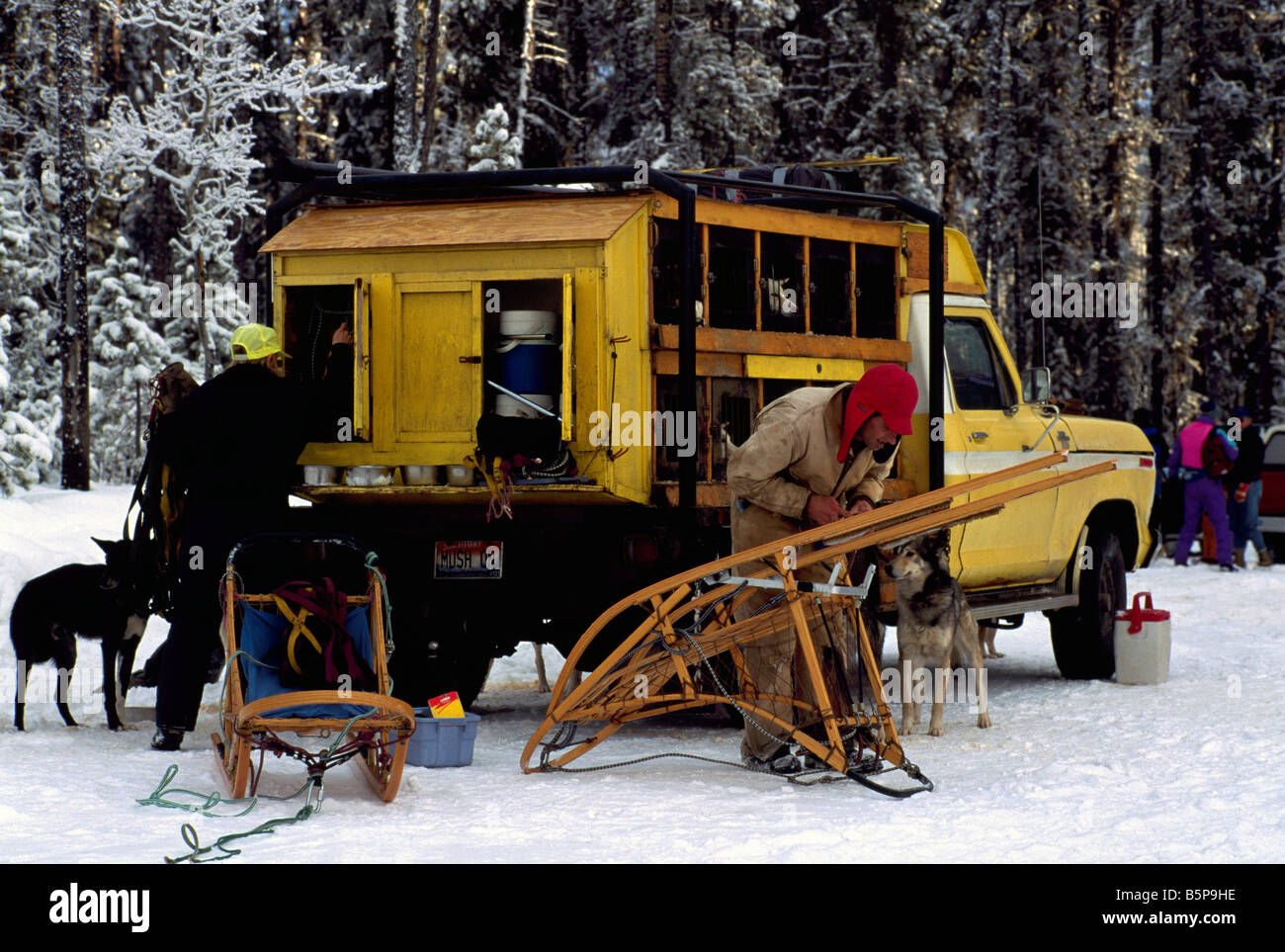 Waxing Dog Sled Runners at the International Sled Dog Race near ...