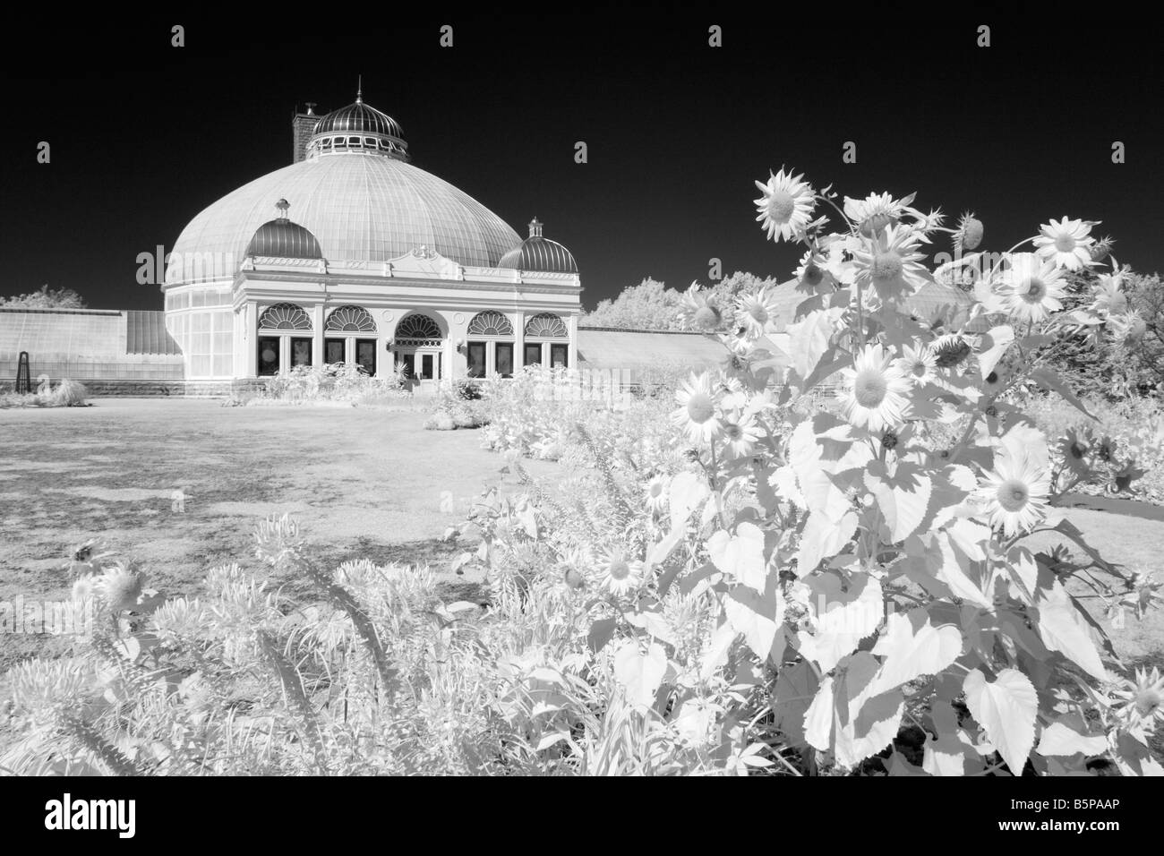 Buffalo botanical gardens hi-res stock photography and images - Alamy