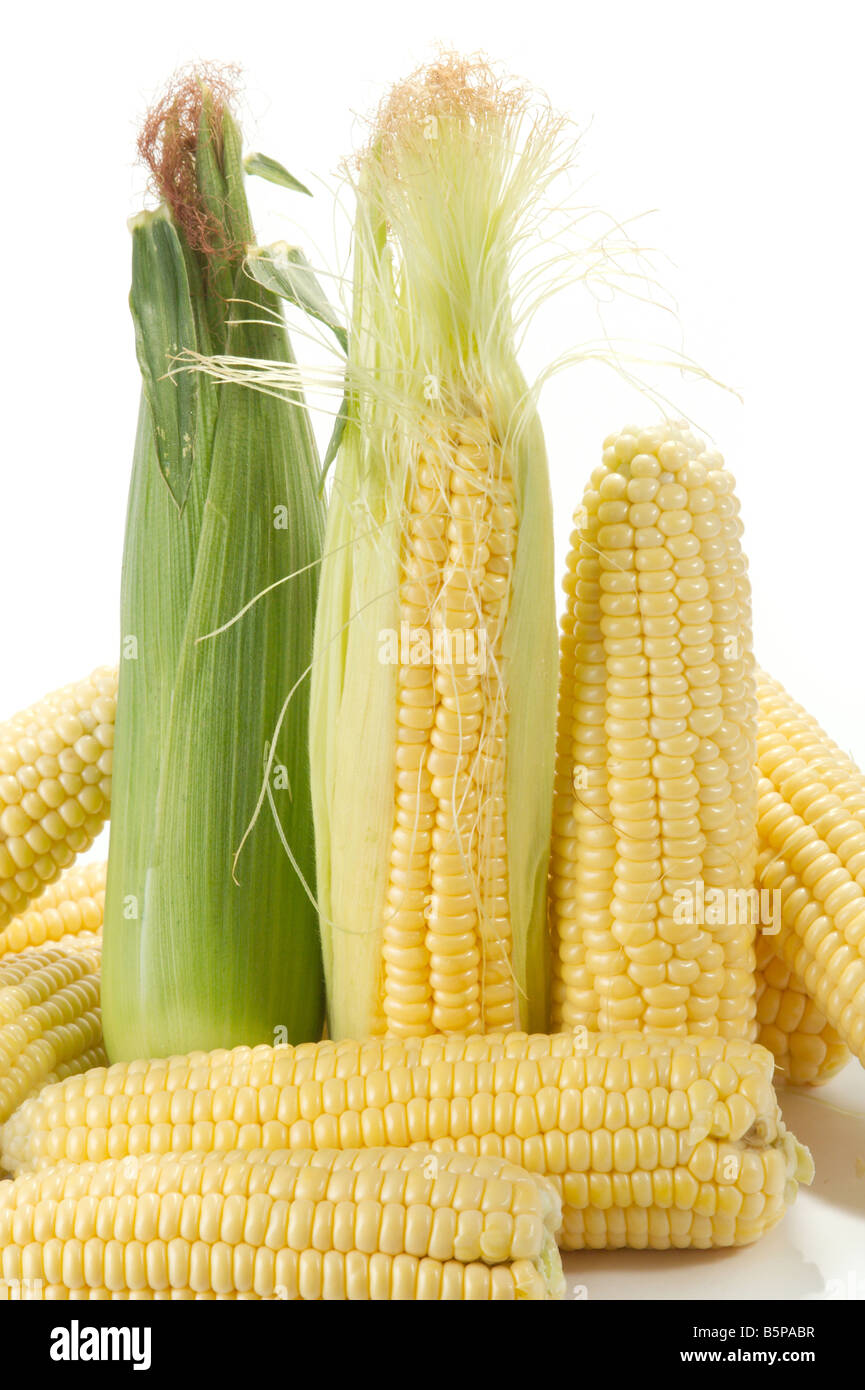 Ripe fruits of sweet corn on white Stock Photo - Alamy