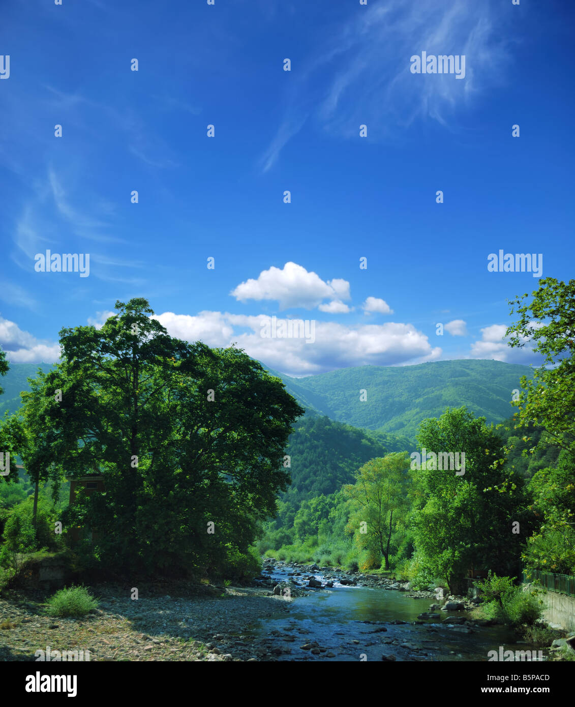 Old lake view in Cut Out Stock Images & Pictures - Alamy