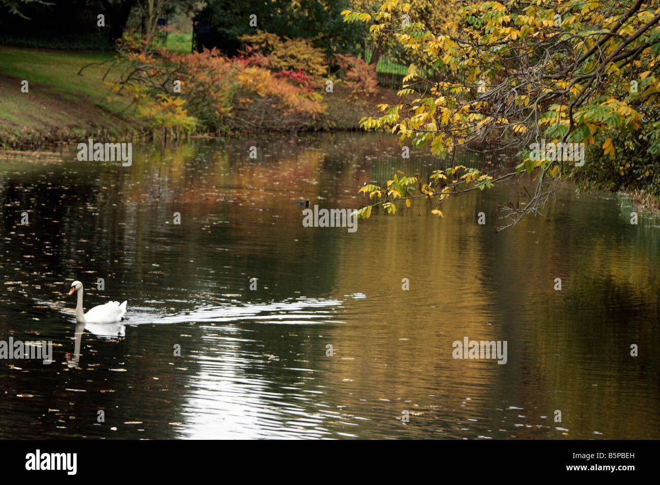 Syon park river hi-res stock photography and images - Alamy