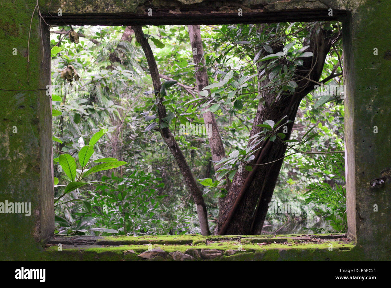 Vietnam jungle prison hi-res stock photography and images - Alamy