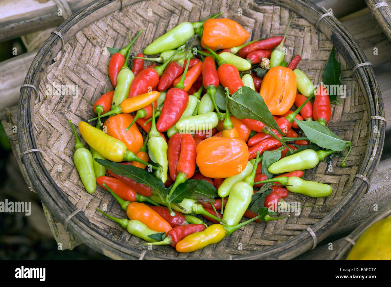 Cayenne chilli peppers hi-res stock photography and images - Alamy
