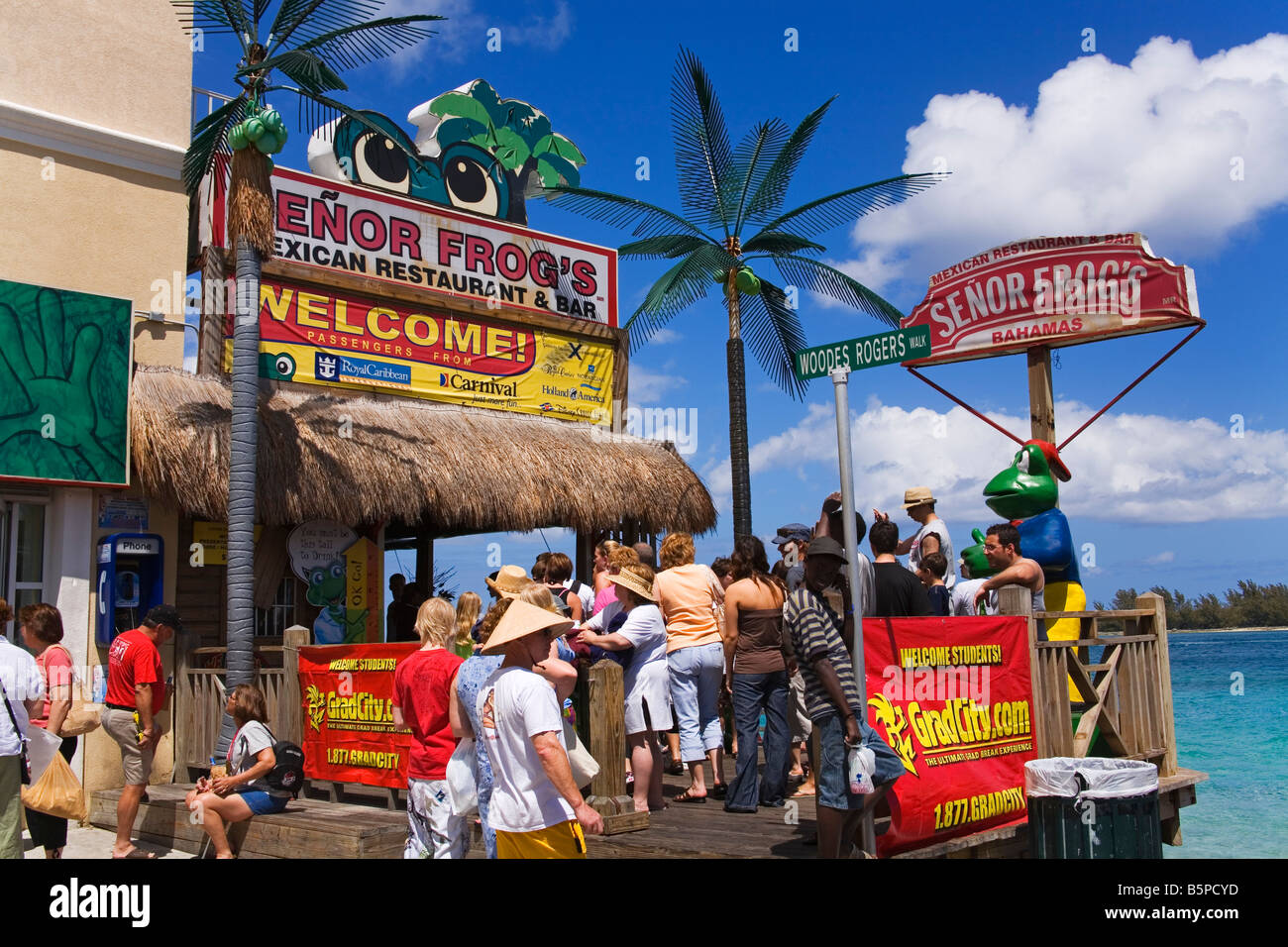 Senor frog hi-res stock photography and images - Alamy