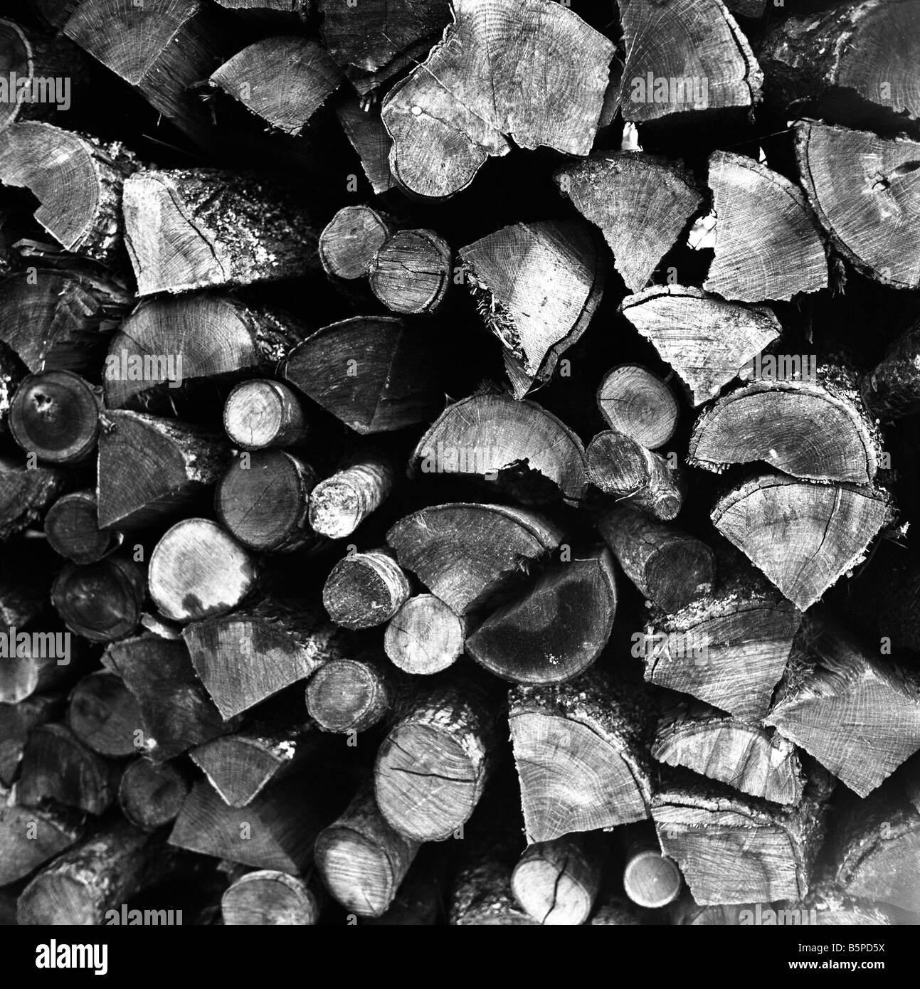 Pile of logs texture Black and White Stock Photos & Images - Alamy