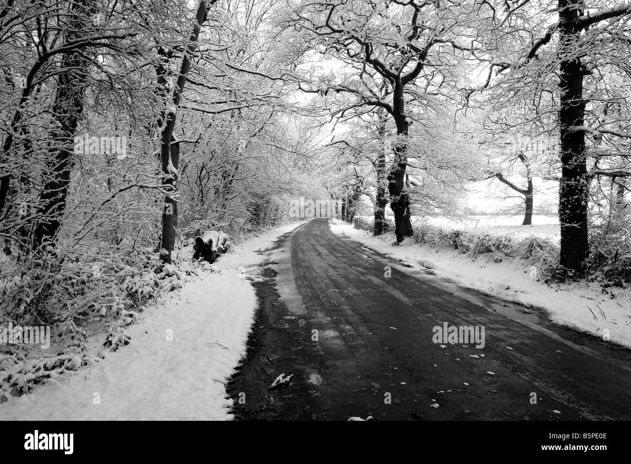 Country lane in winter Stock Photo - Alamy