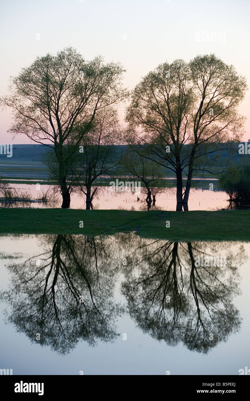 Spring rural landscape Stock Photo - Alamy