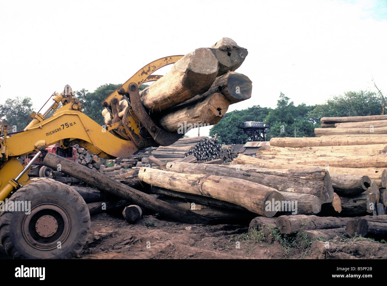 Logging in myanmar hi-res stock photography and images - Alamy