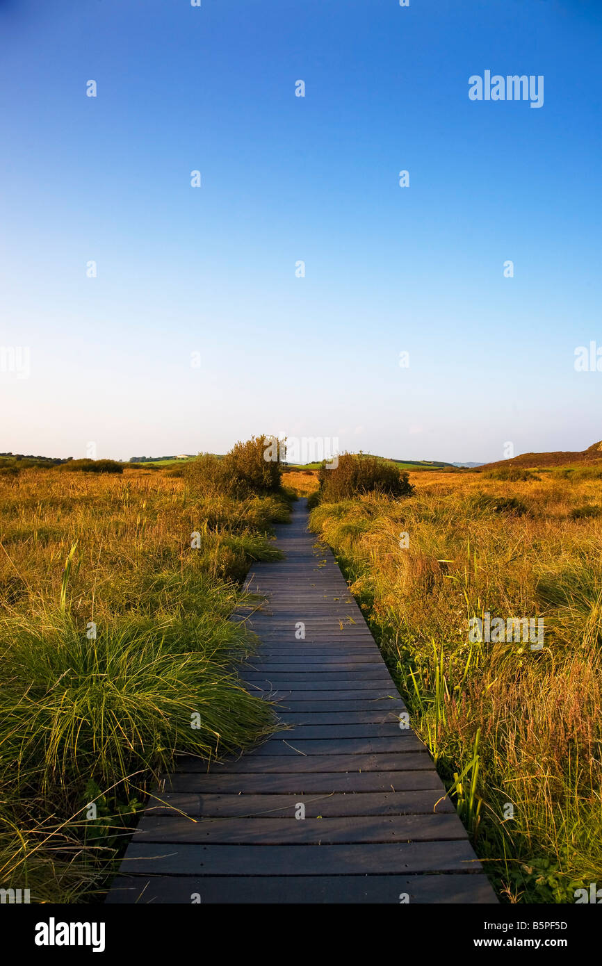 Walkway on the Fenor Bog, County Waterford, Ireland Stock Photo - Alamy