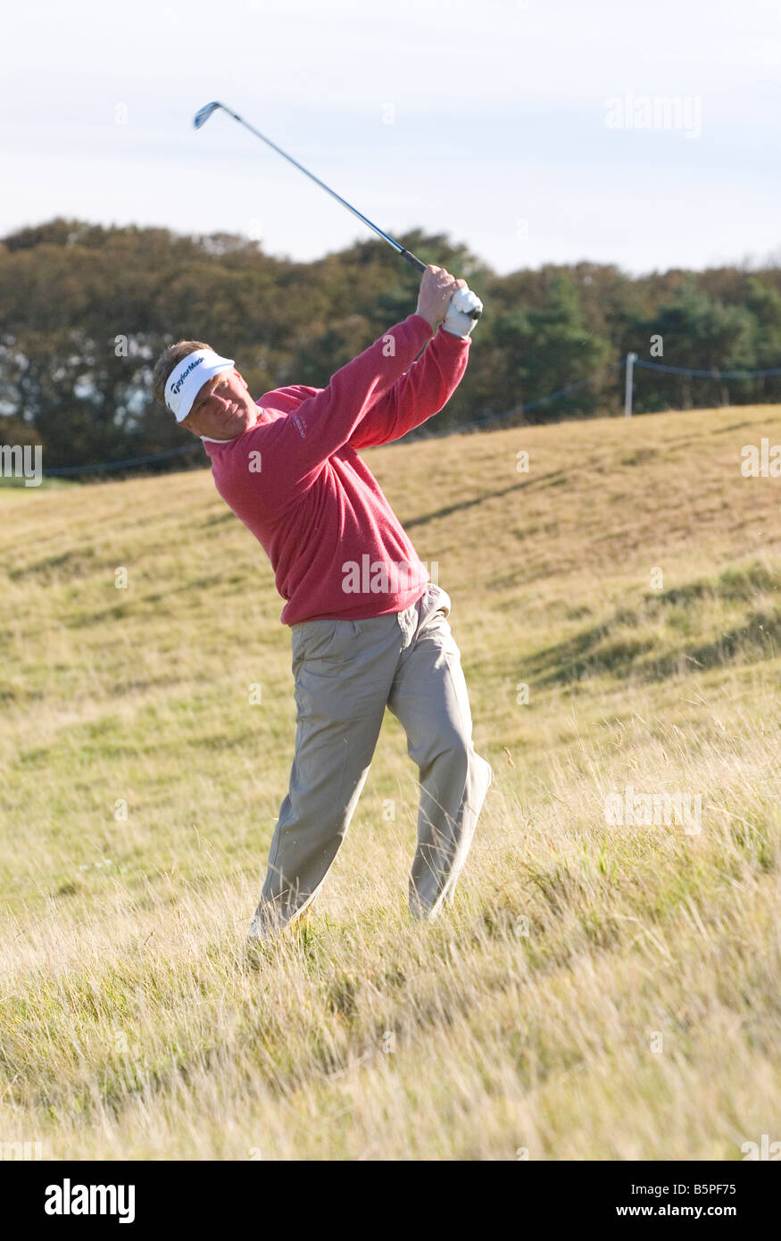 Mit Dabei War Polly Sandy Lyle