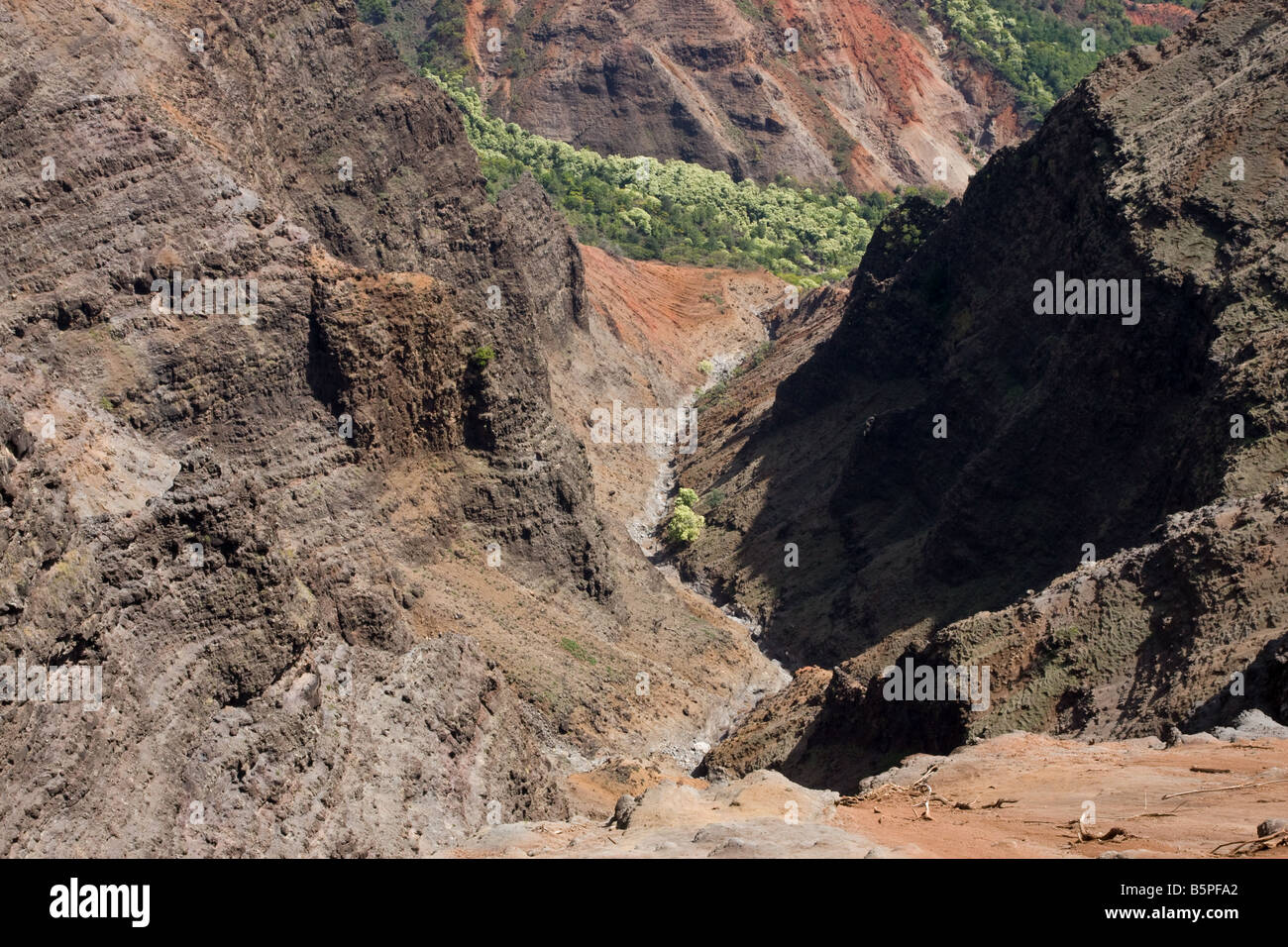 Waimea forest hi-res stock photography and images - Alamy