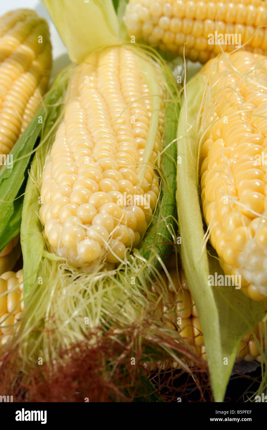 Ripe fruits of sweet corn on white Stock Photo - Alamy