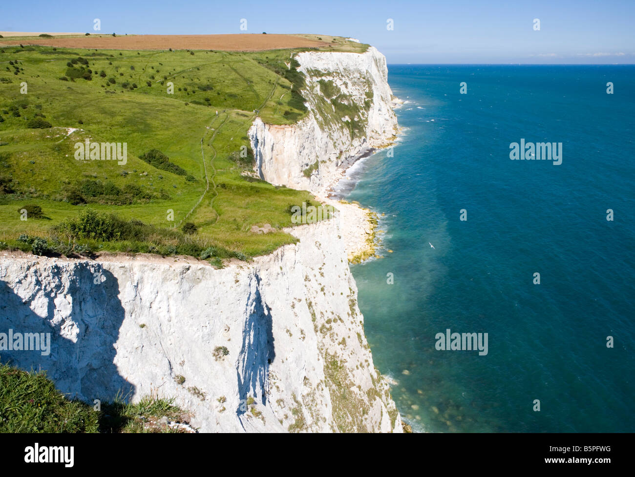 White Cliffs of Dover, Kent, England, UK Stock Photo - Alamy