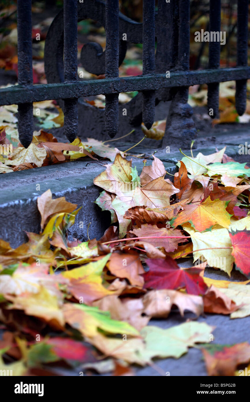 Pavement railings hi-res stock photography and images - Alamy