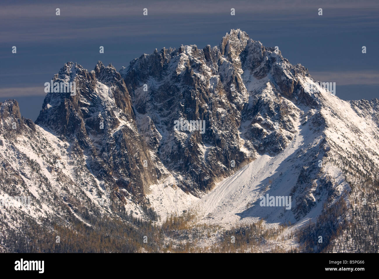 Silverstar hi-res stock photography and images - Alamy