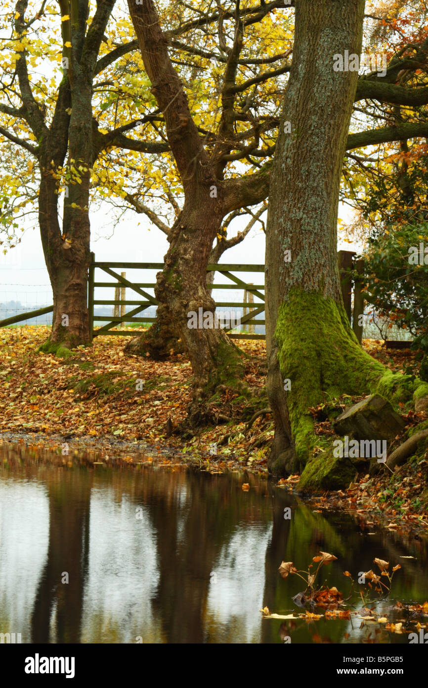 Bledlow ridge hi-res stock photography and images - Alamy