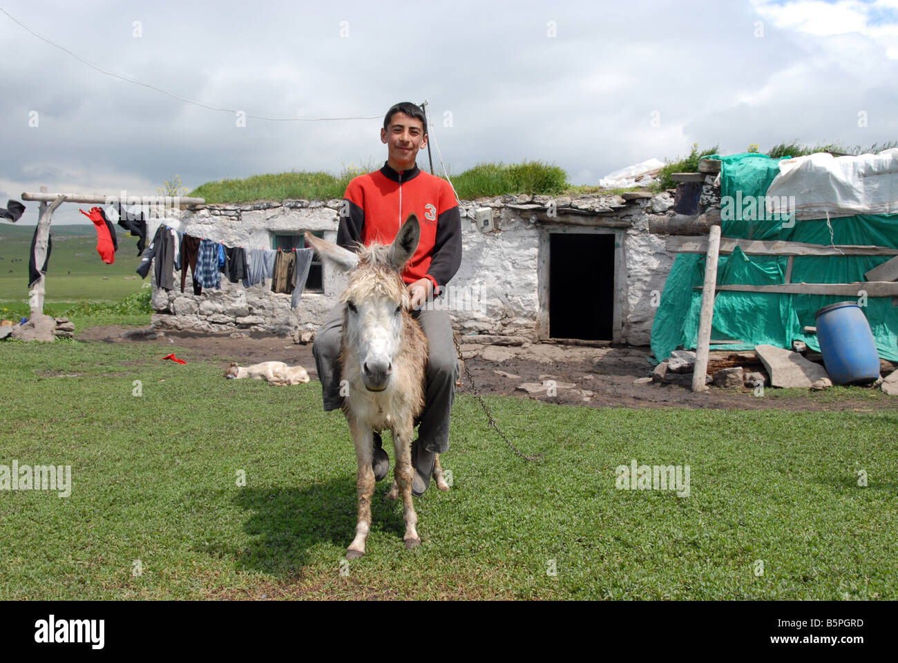 Boy riding a donkey hi-res stock photography and images - Alamy