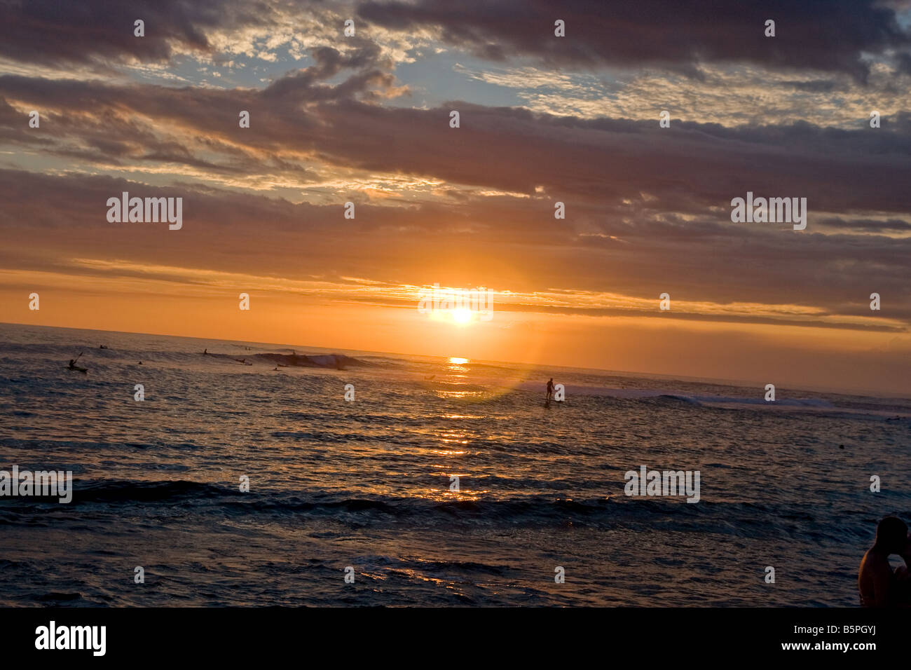 Hawaii forest sunset hi-res stock photography and images - Alamy