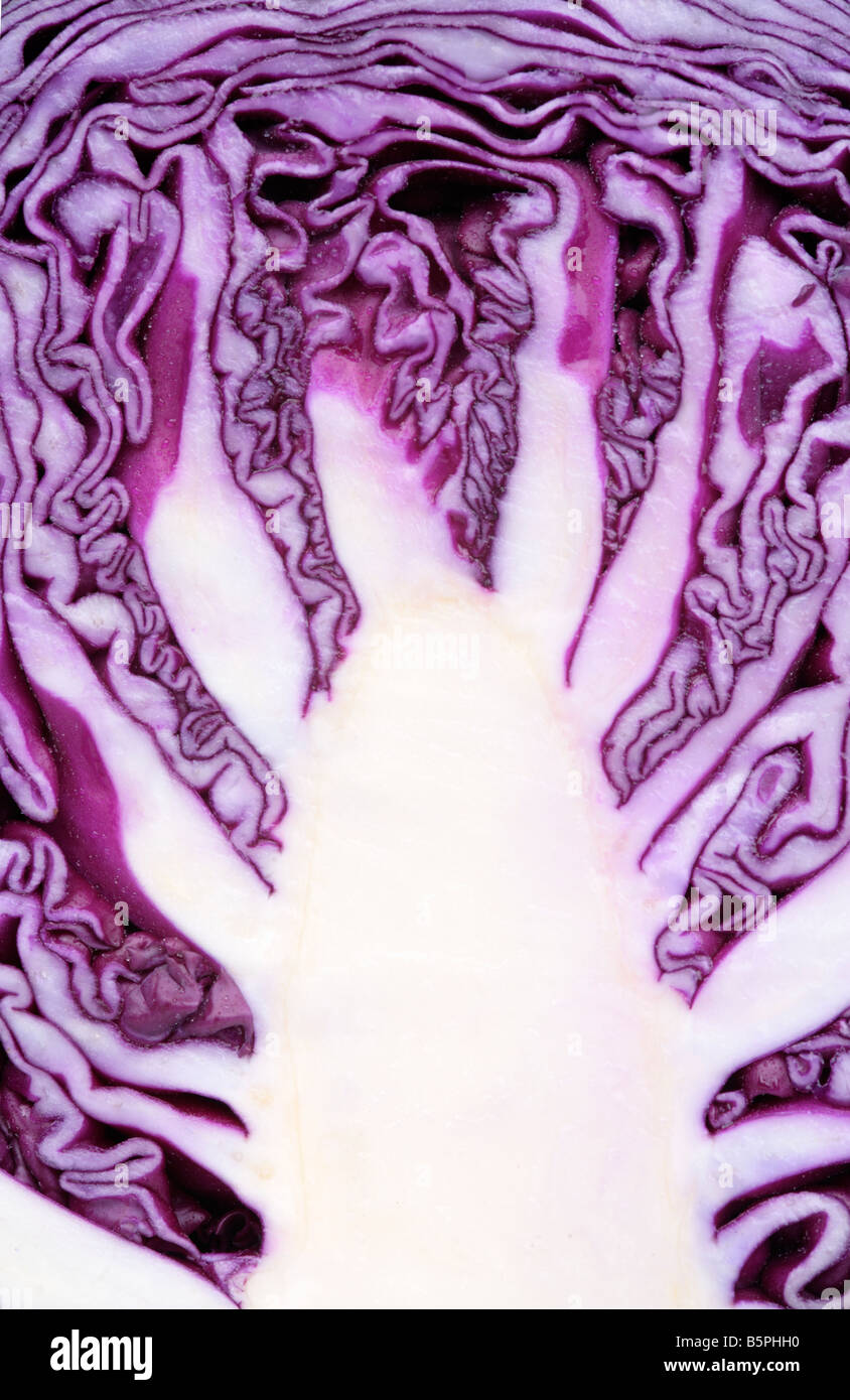 Inside Red Cabbage Stock Photo - Alamy