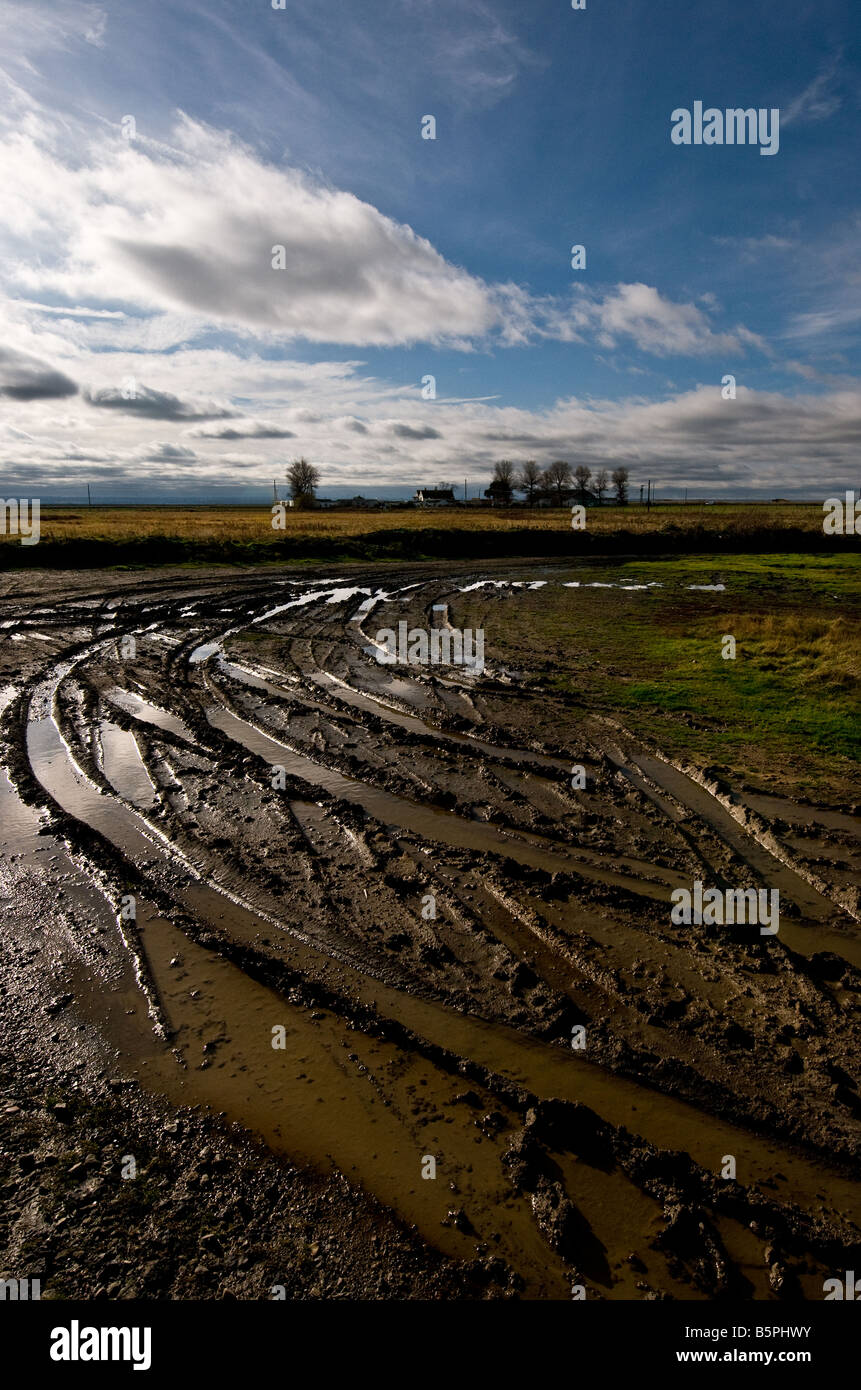 Mud ruts hi-res stock photography and images - Alamy