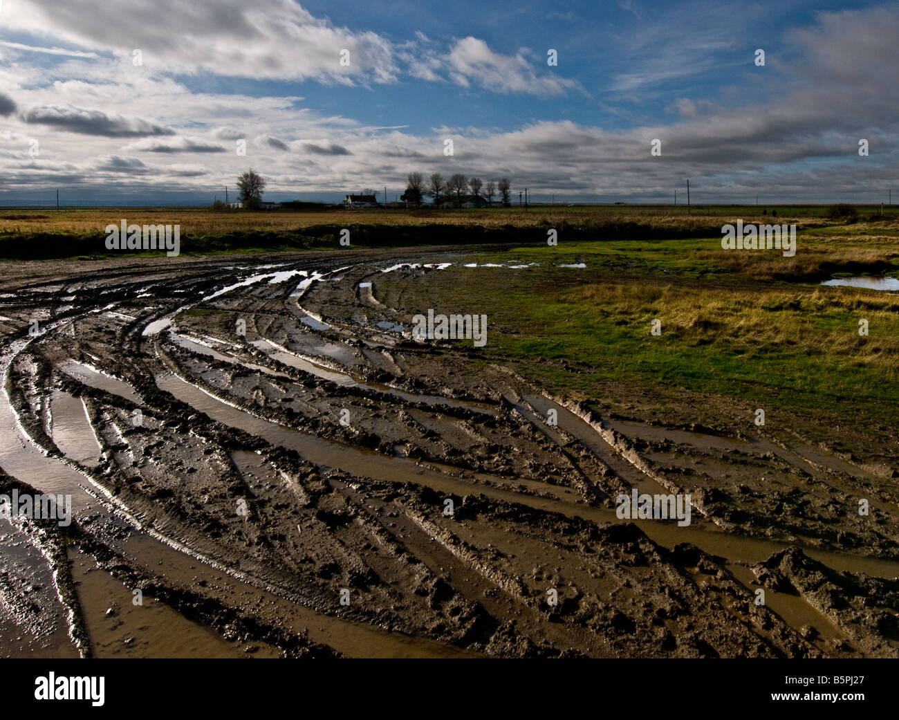 Mud ruts hi-res stock photography and images - Alamy
