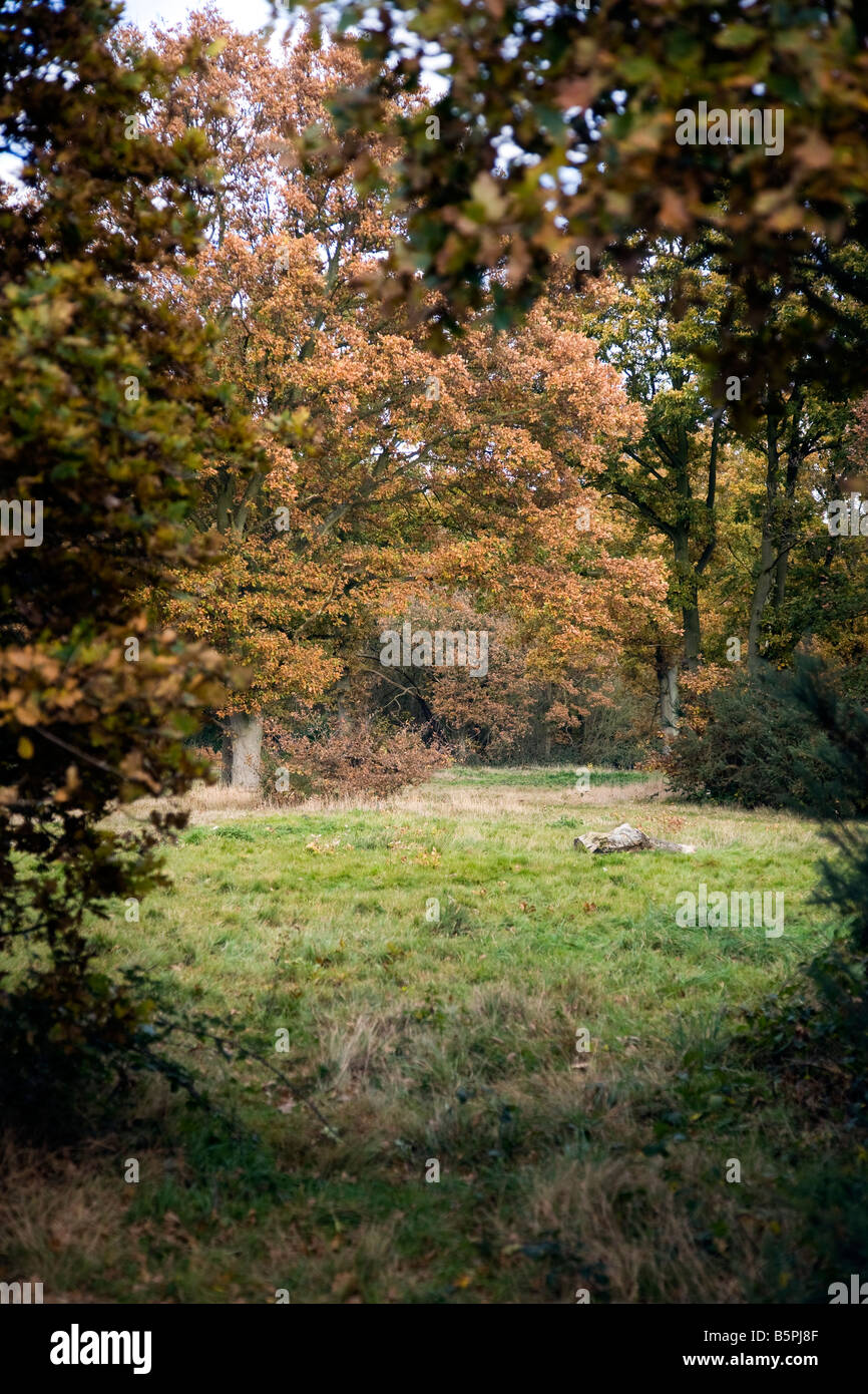 Colchester view scene grass trees hi-res stock photography and images ...