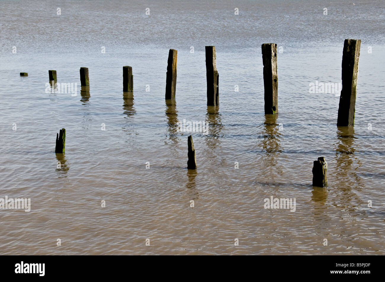 The remains of an old wooden breakwater at high tide Stock Photo - Alamy