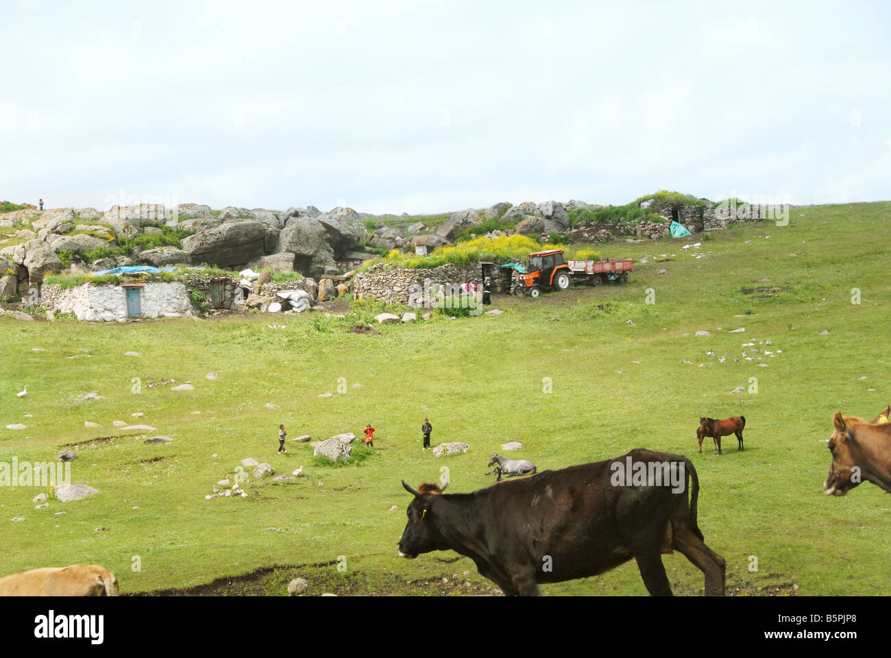 kurdish farm in Turkey Stock Photo - Alamy