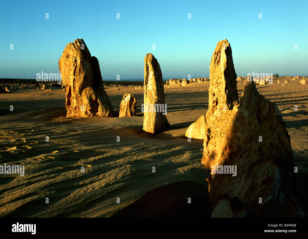 Pinnacle Limestone Formations, Nambung National Park Stock Photo - Alamy