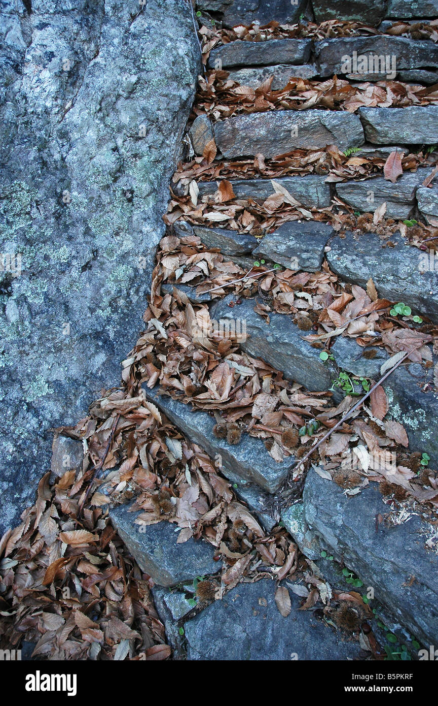 Old stone steps path hi-res stock photography and images - Alamy