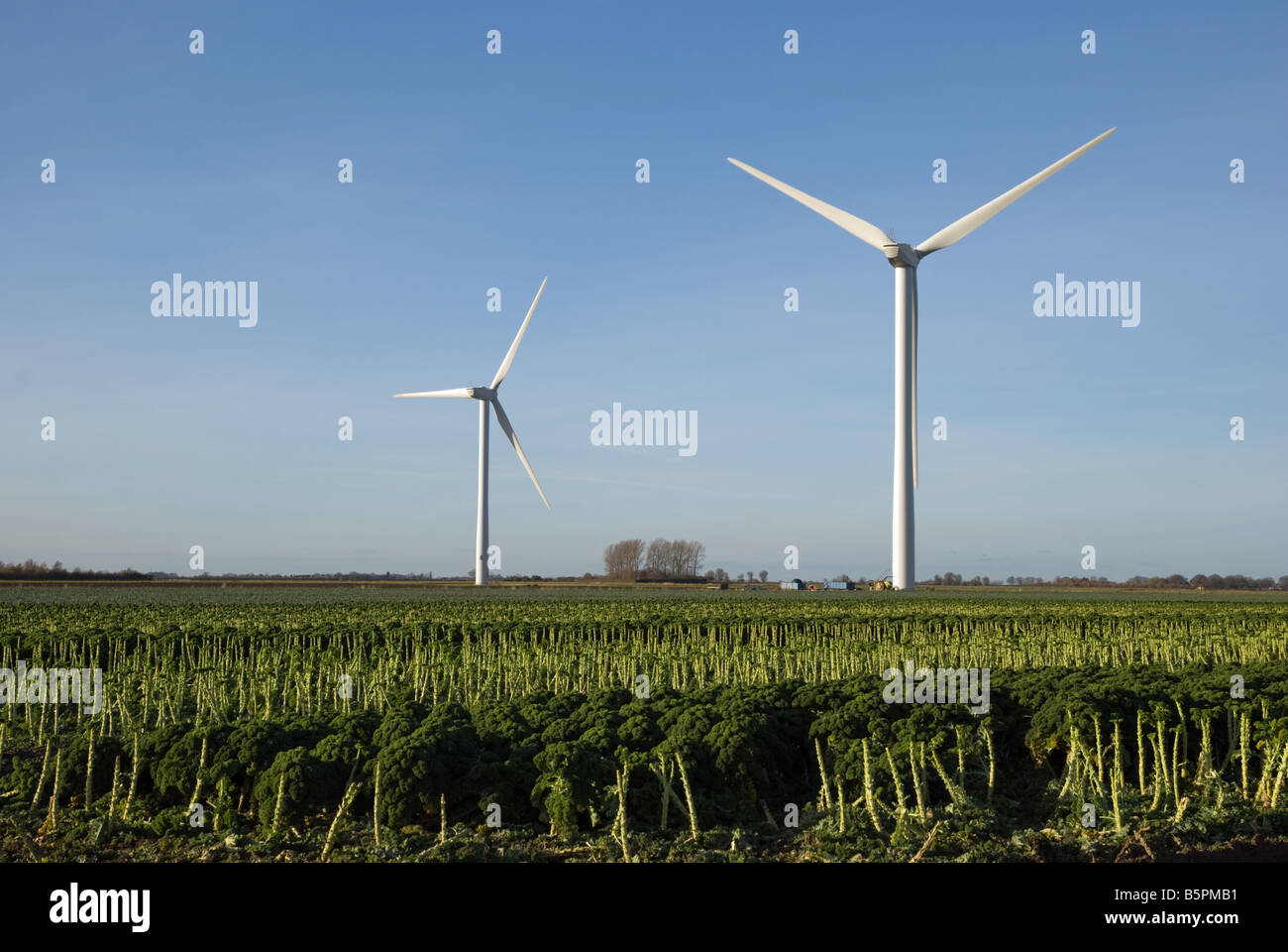 Gedney Marsh Wind Farm, Lincolnshire, England Stock Photo - Alamy