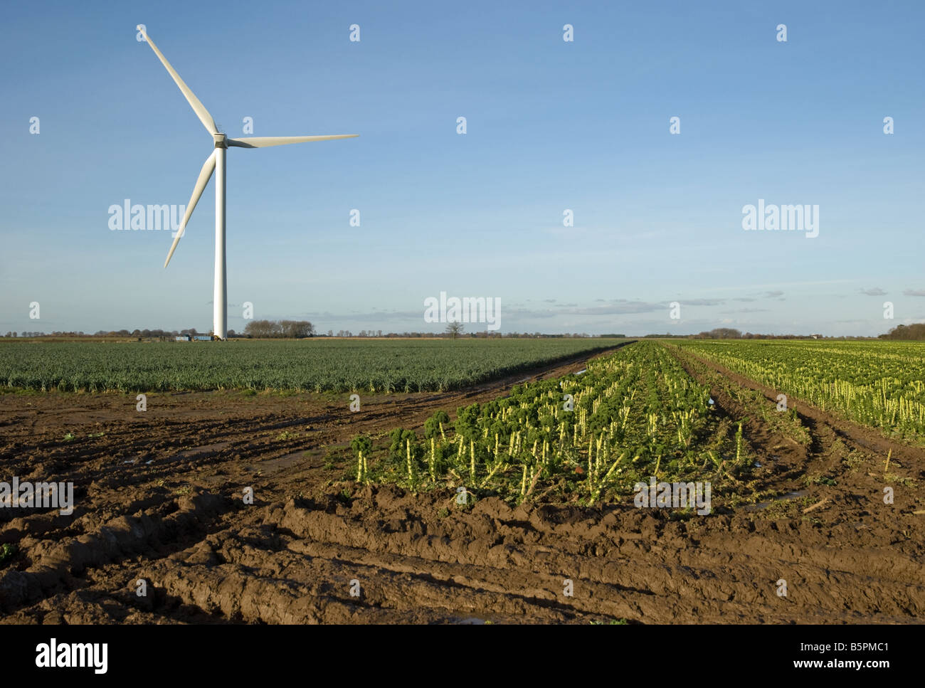 Onshore windfarm england hi-res stock photography and images - Alamy