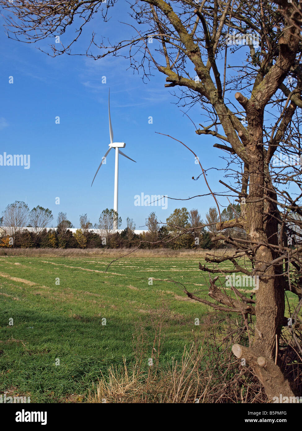 Wind turbines in the fen Stock Photo - Alamy