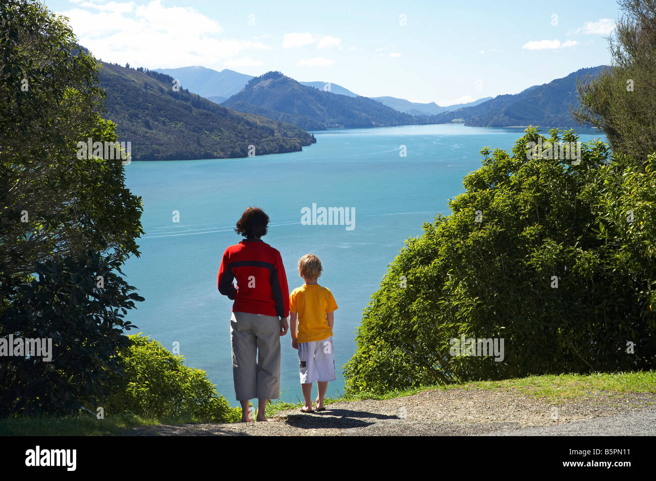 Mahakipawa Arm Mahau Sound Marlborough Sounds South Island New Zealand ...
