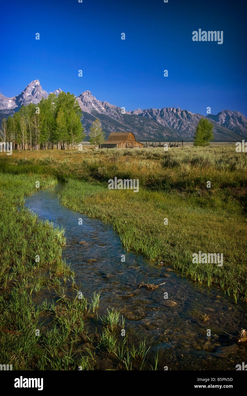 Stream leading hi-res stock photography and images - Alamy