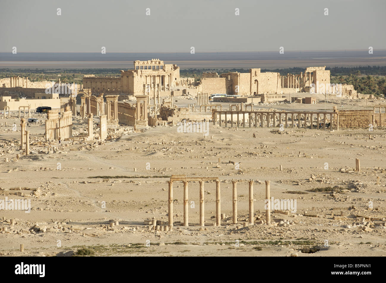 Ancient city of palmyra hi-res stock photography and images - Alamy