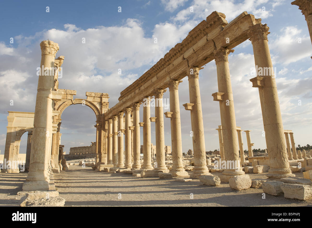 Roman colonnade and monumental arch, Palmyra, Syria Stock Photo - Alamy
