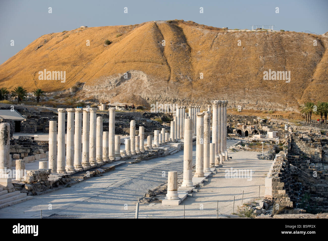 PALLADIUS STREET BYZANTINE COLONNADE RUINS TEL BEIT SHEAN NATIONAL PARK ...